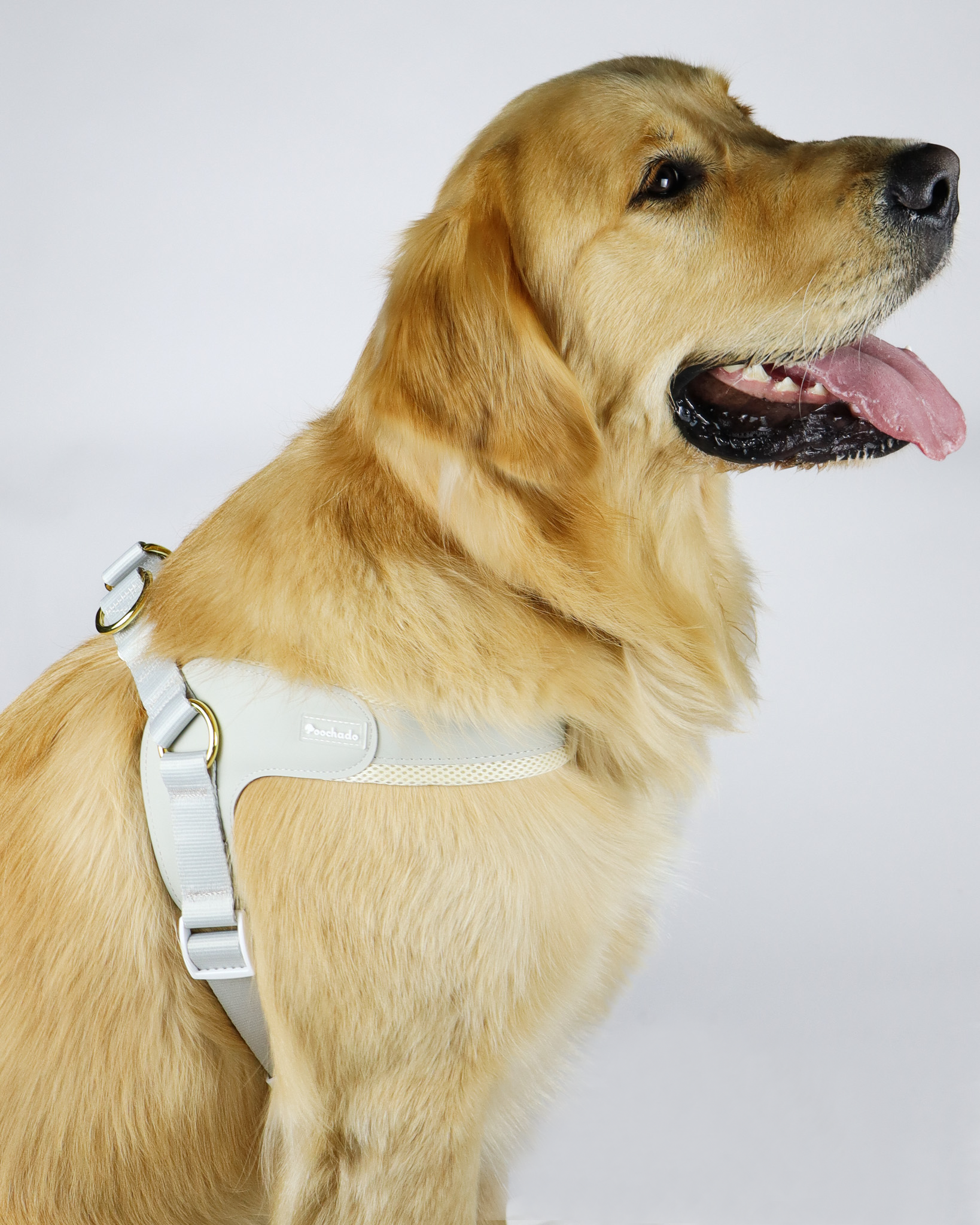 Step & Go Harness Blue | Poochado